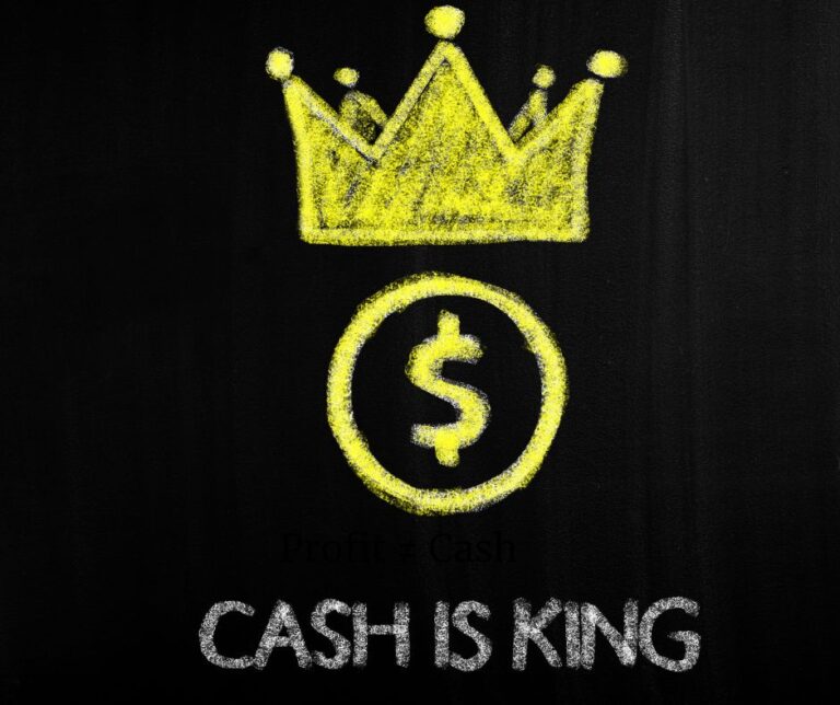 Revenue Is Vanity, Profit Is Sanity, and Cash Is King – Profit Comes First